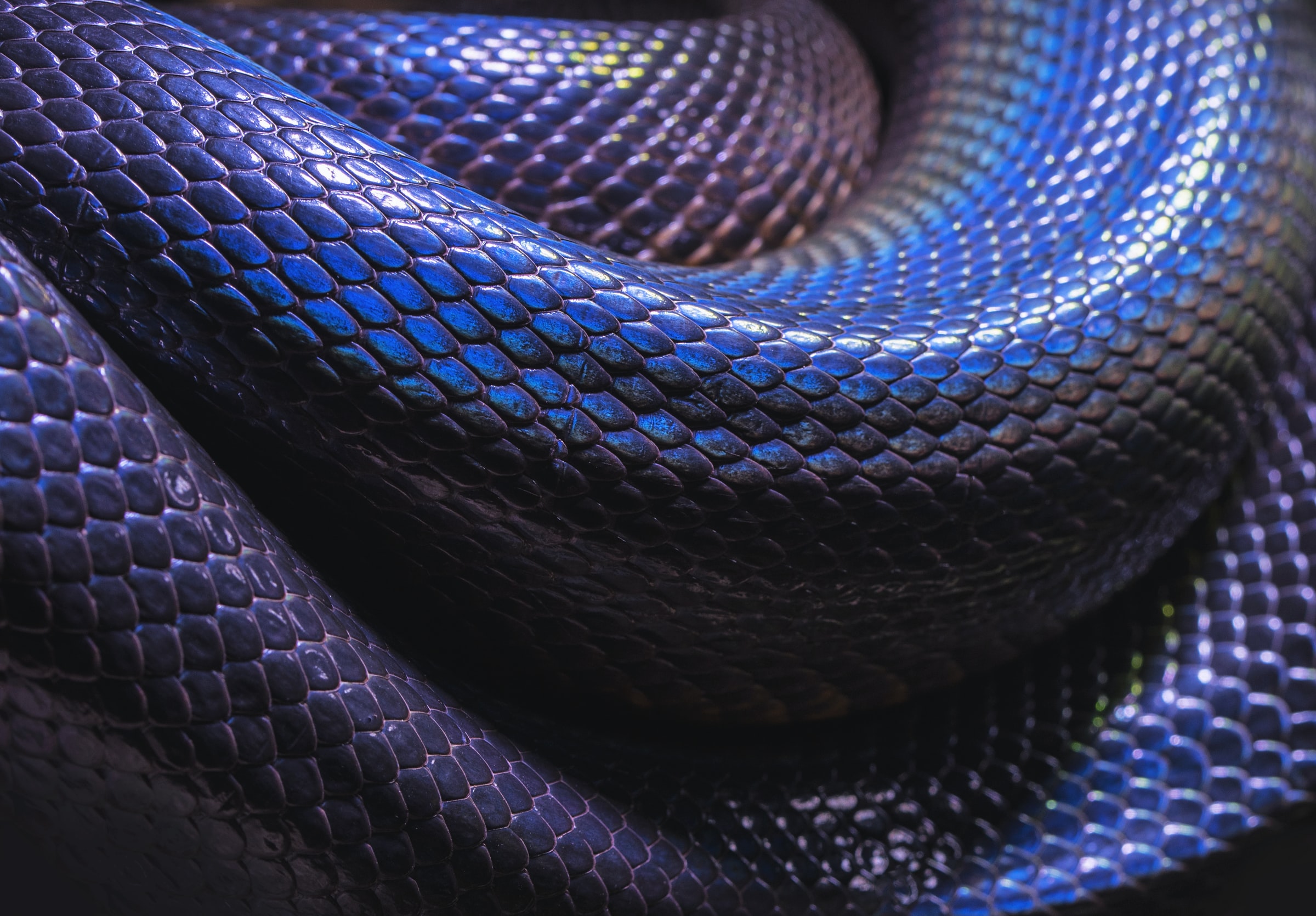 Elasticsearch Python Workshop 2 APIs Classes And How To Call Them Continuous Delivery And 